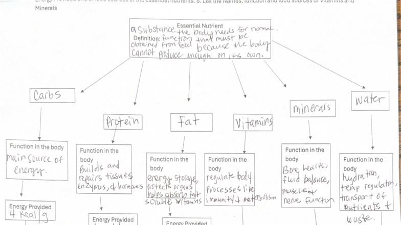 Nutrition Concept Map: Essential Nutrients & Their Functions - Studocu