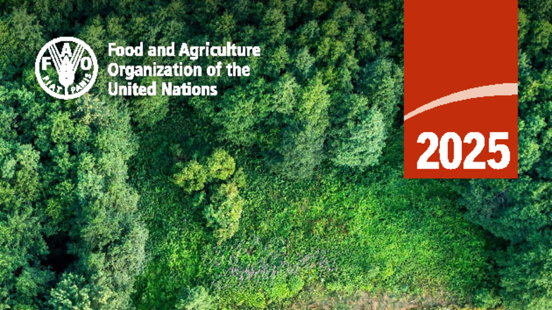 FAO 2025: Addressing Land Degradation in Food & Agriculture - Studocu