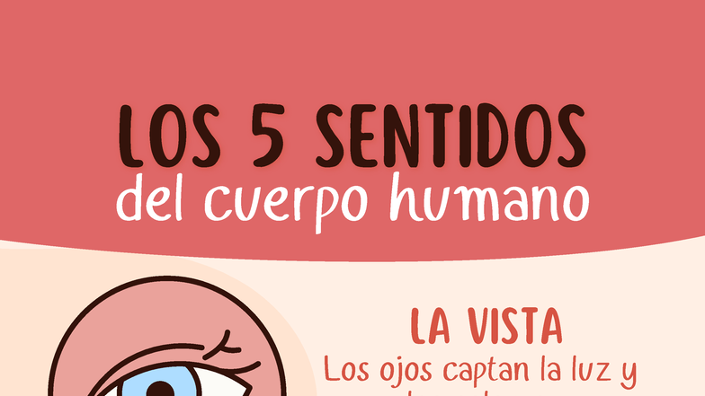 Infografía Cinco sentidos ser humano - 527 - LOS 5 SENTIDOS del cuerpo ...