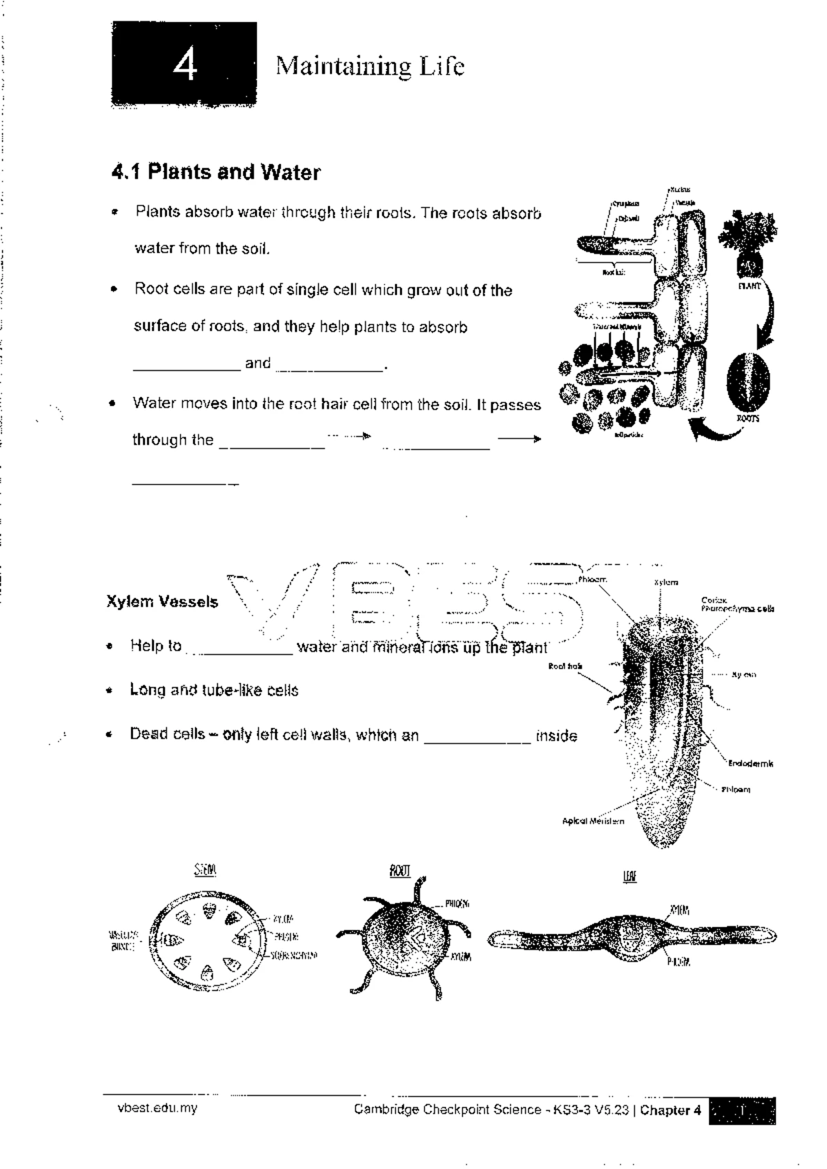 Speaking Test Notes for Form 4 Preparation - Studocu