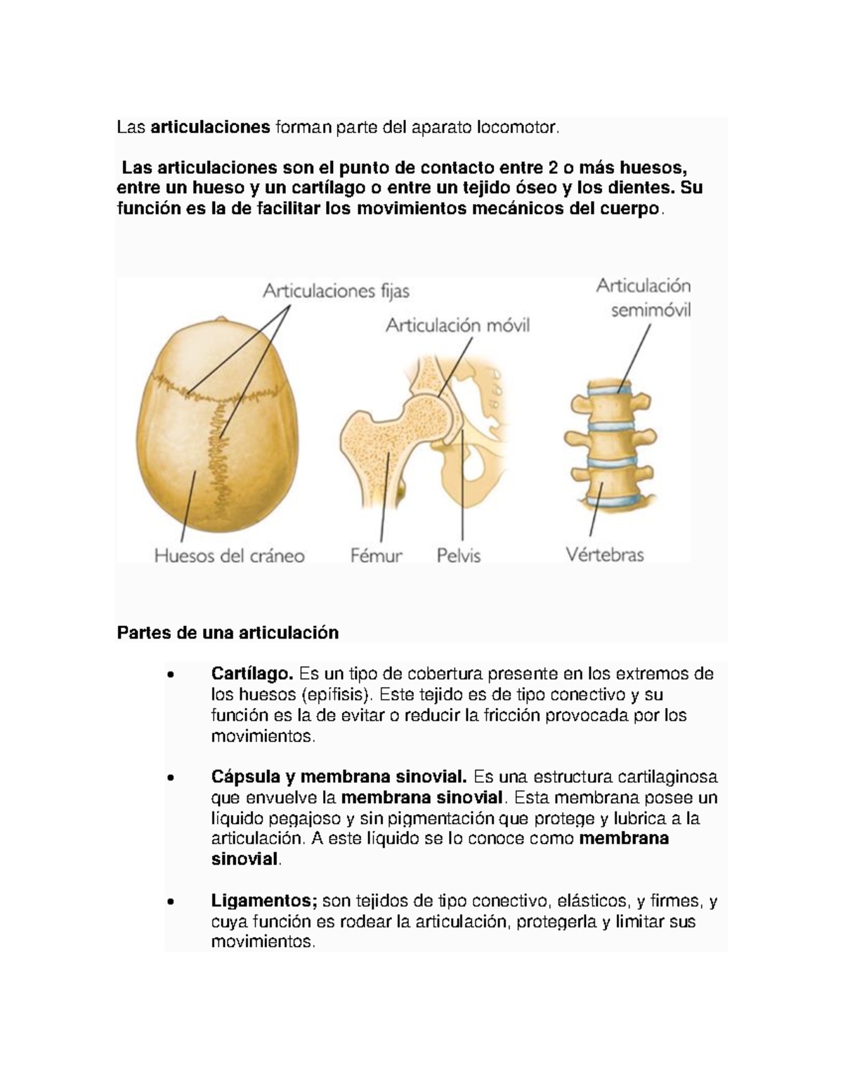 Articulaciones: Estructura y Función en el Aparato Locomotor - 1er Año - Studocu