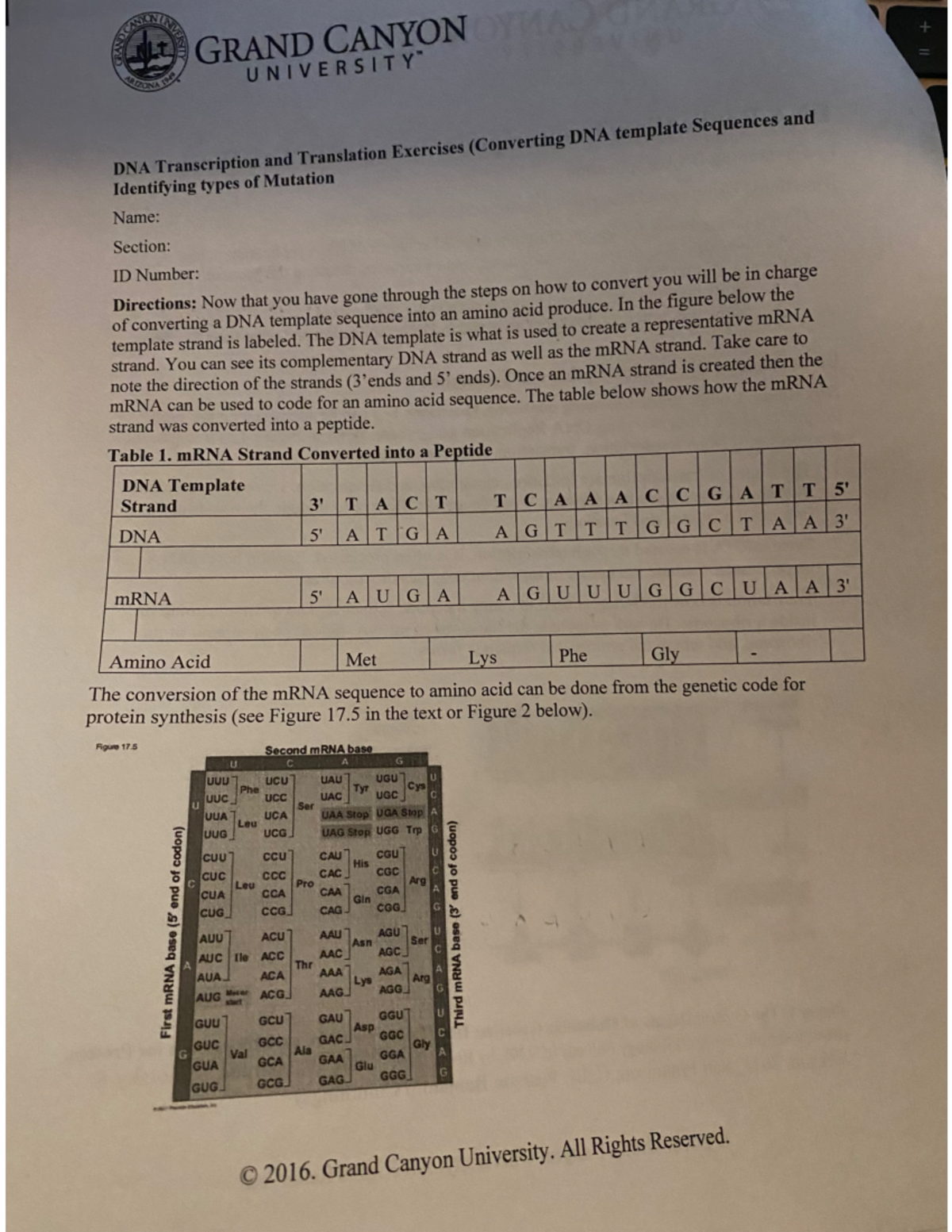 DNA Replication WS - worksheet - BIO-181 - Studocu