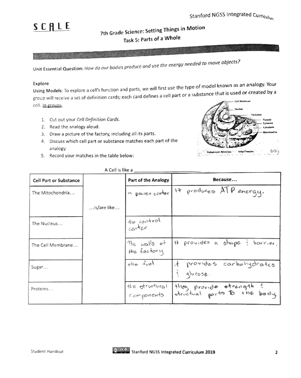 Stanford NGSS SCALE 7th Grade Science: Energy in Motion Task 5 - Studocu