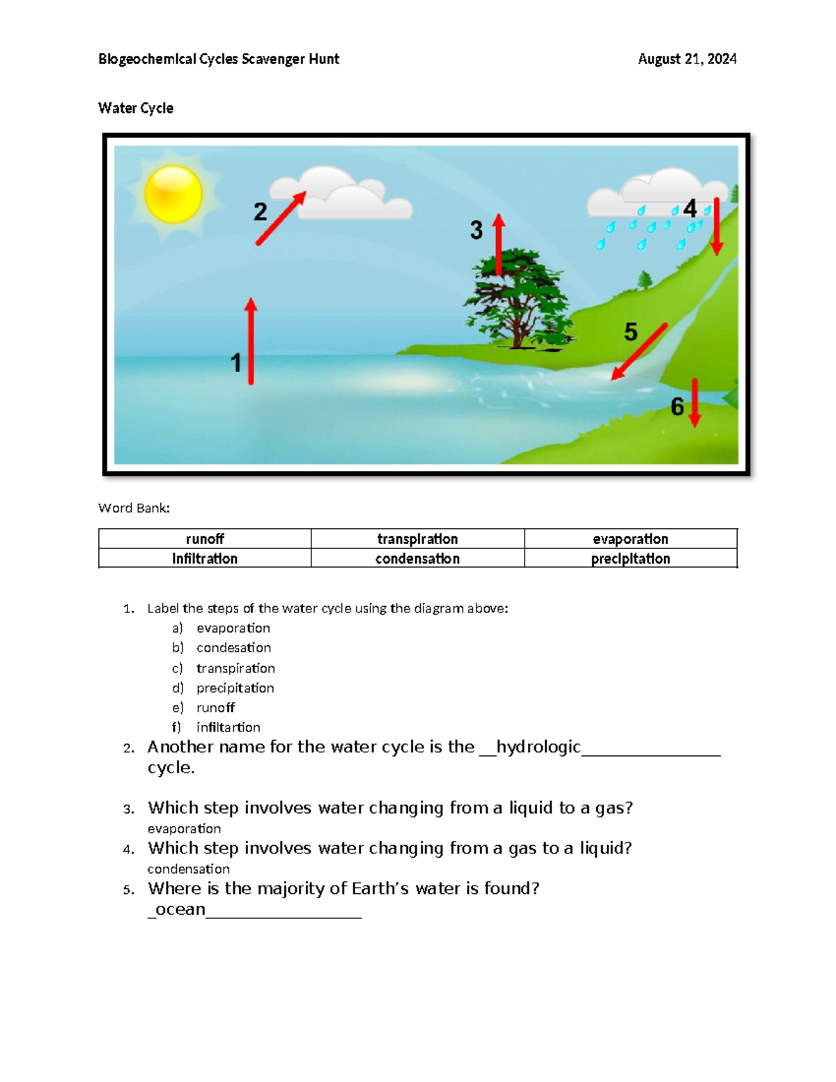 Biogeochemical Cycles Practice - Water, Carbon & Phosphorus Cycle Guide ...