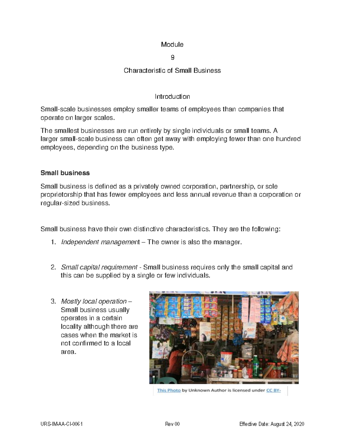 SMB 101: Key Characteristics and Types of Small Businesses - Studocu