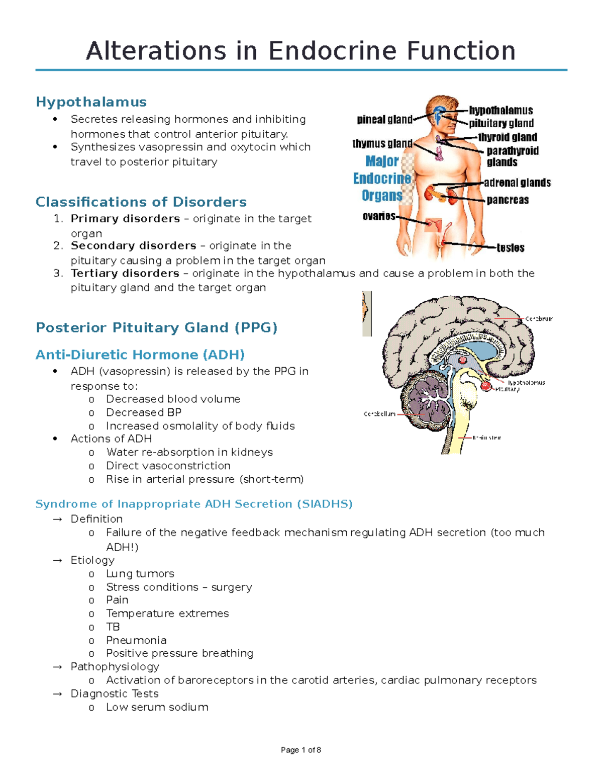 Endocrine Notes - Alterations in Endocrine Function Hypothalamus ...
