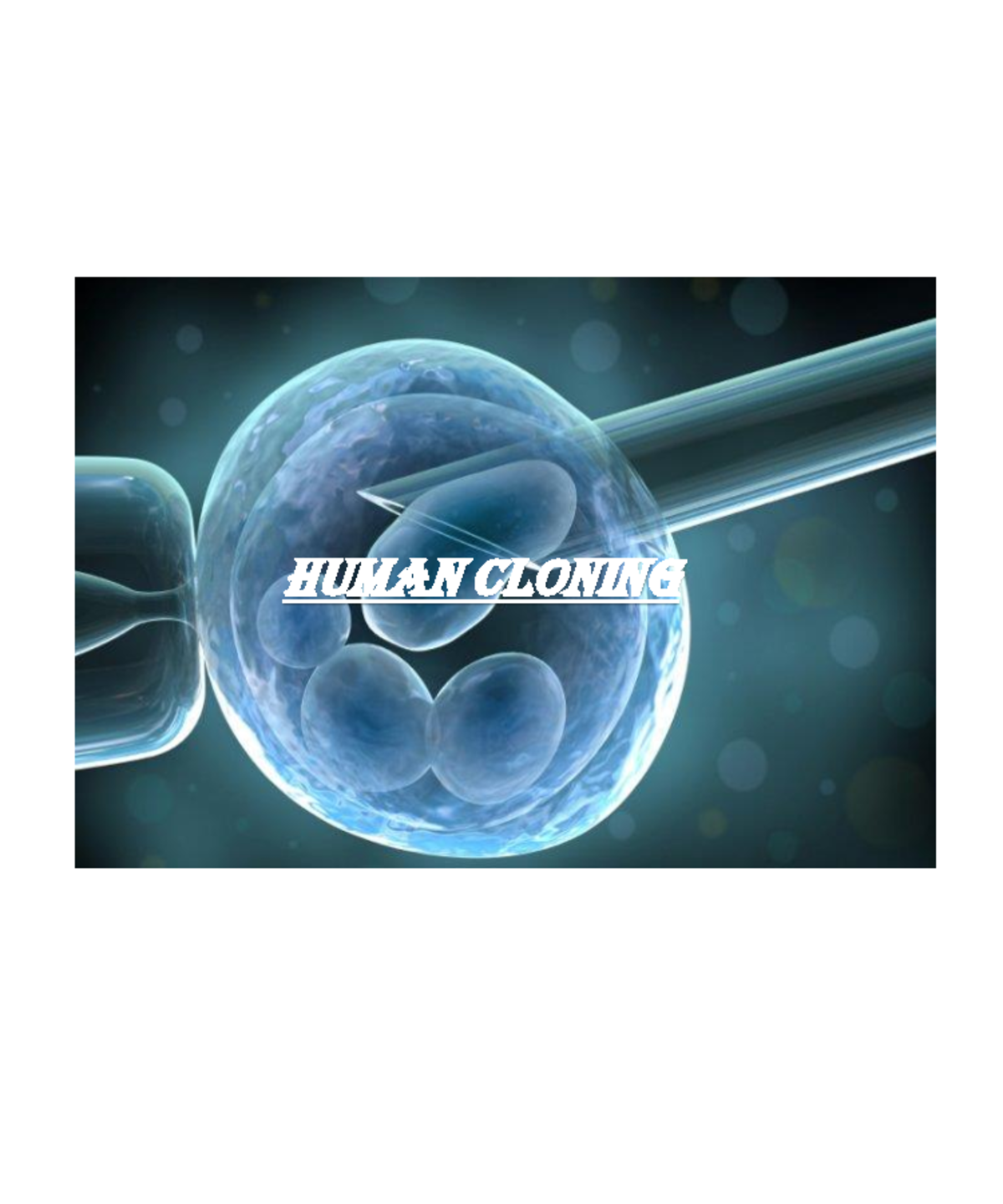 Human Cloning: An In-Depth Biology Project on SCNT and iPSCs - Studocu