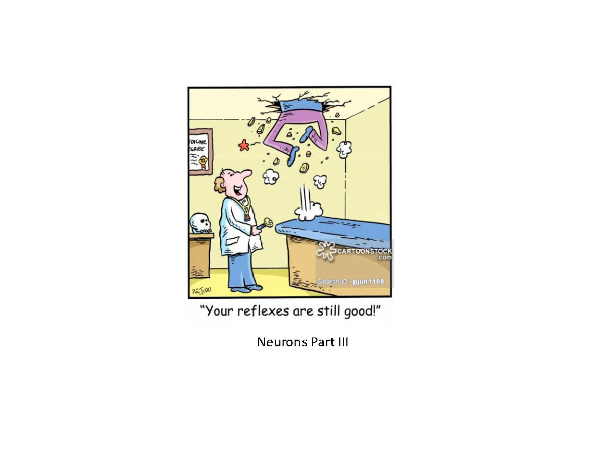 How nerves work - explanation of action potential - Neurons Part III ...