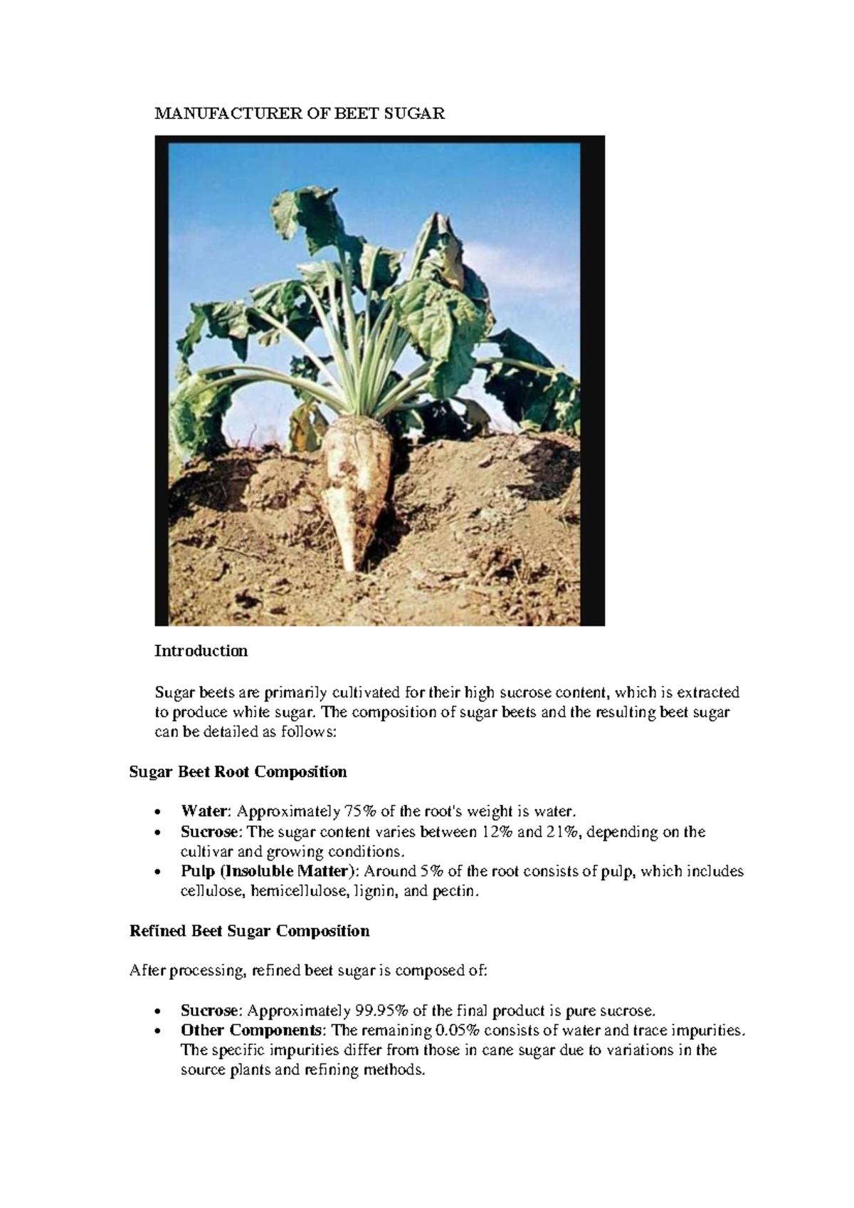 Beet Sugar Production Process Overview - Studocu