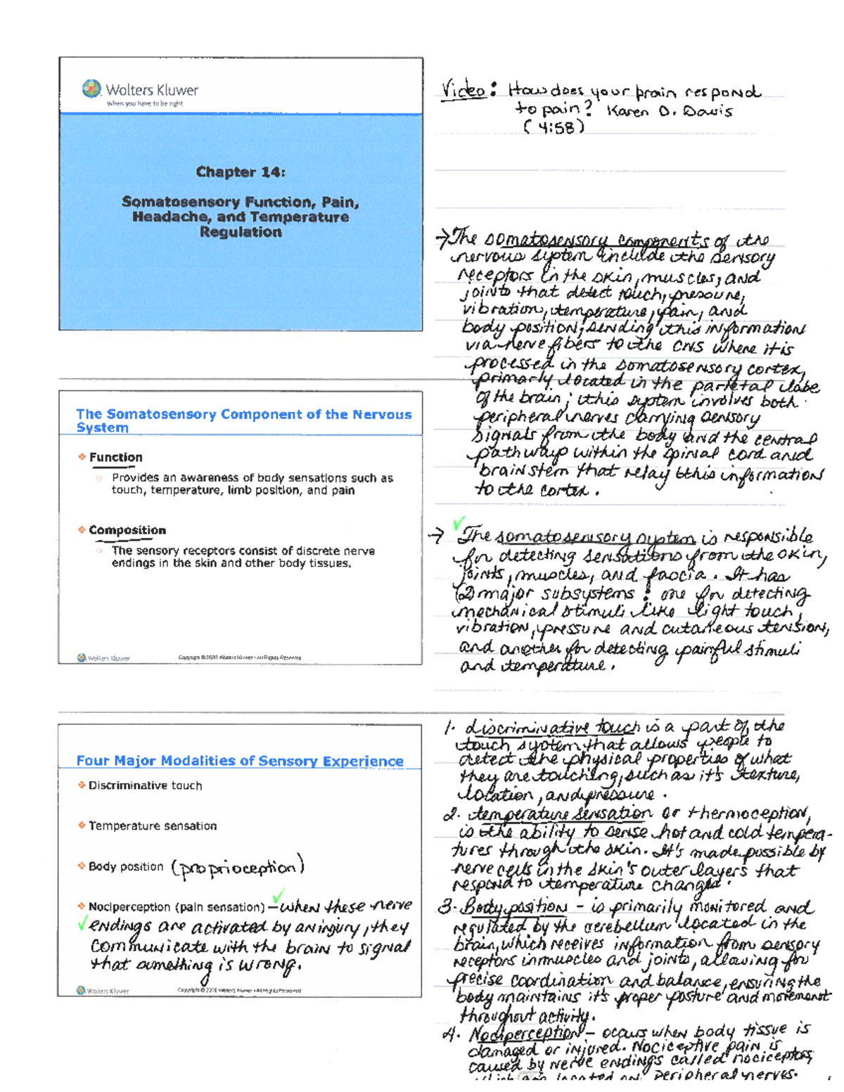 Wolters Kluwer Video: Somatosensory Function & Pain Response (Chapter 14) - Studocu