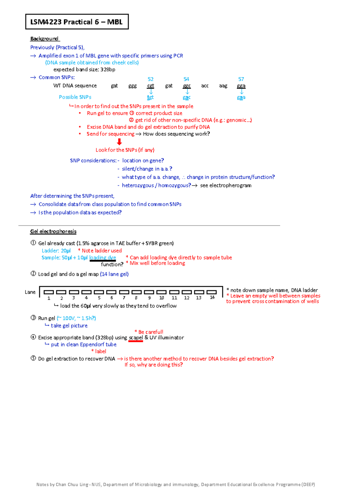 LSM4223 Practical 6 Summary Notes on MBL and MLST Techniques - Studocu