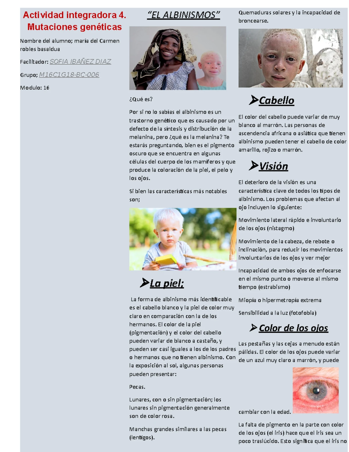 Módulo 16 semana 2 Actividad Integradora 3 Prepa en Línea SEP ...