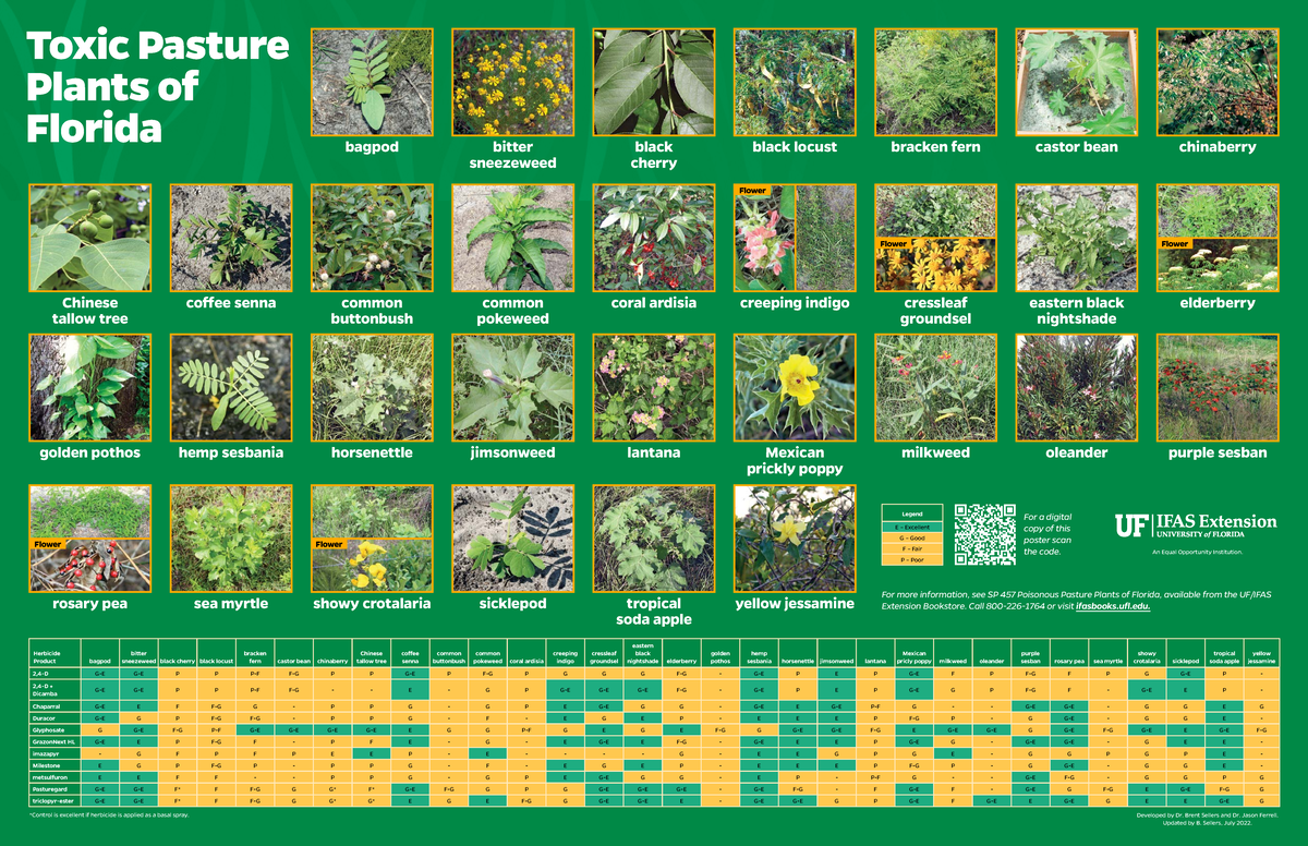 2022 FL toxic plants poster - Toxic Pasture Plants of Florida bagpod ...