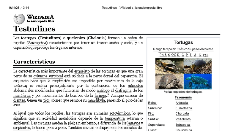 Testudines: Características, Ecología y Filogenia de las Tortugas - Studocu