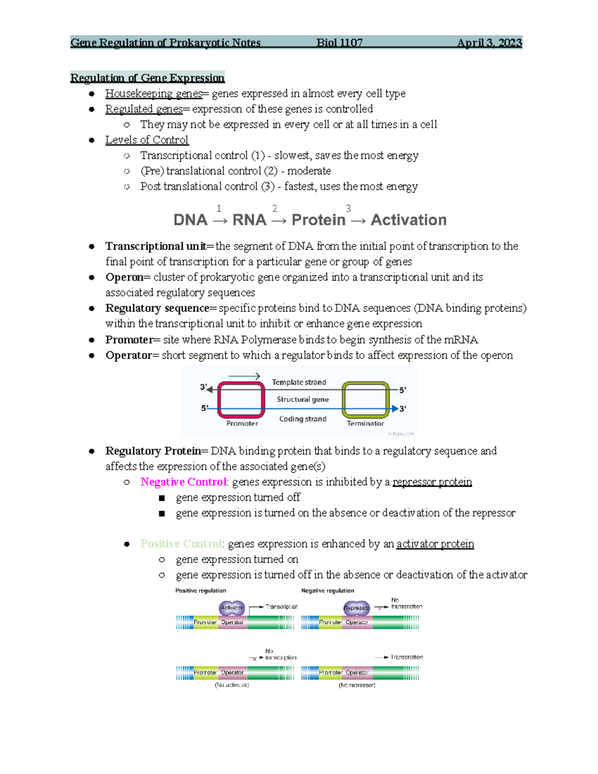 Gene Regulation of Prokaryotic Notes - Studocu