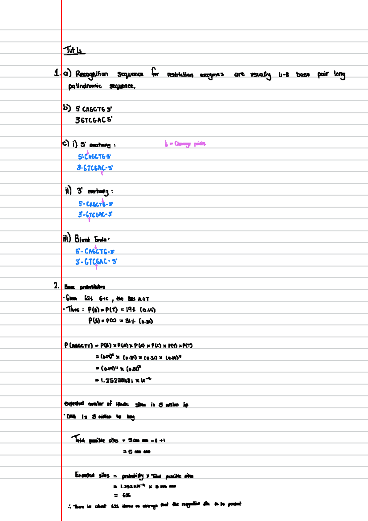 GTS 251 Tut 4 - Recognition Sequences and Blotting Techniques - Studocu