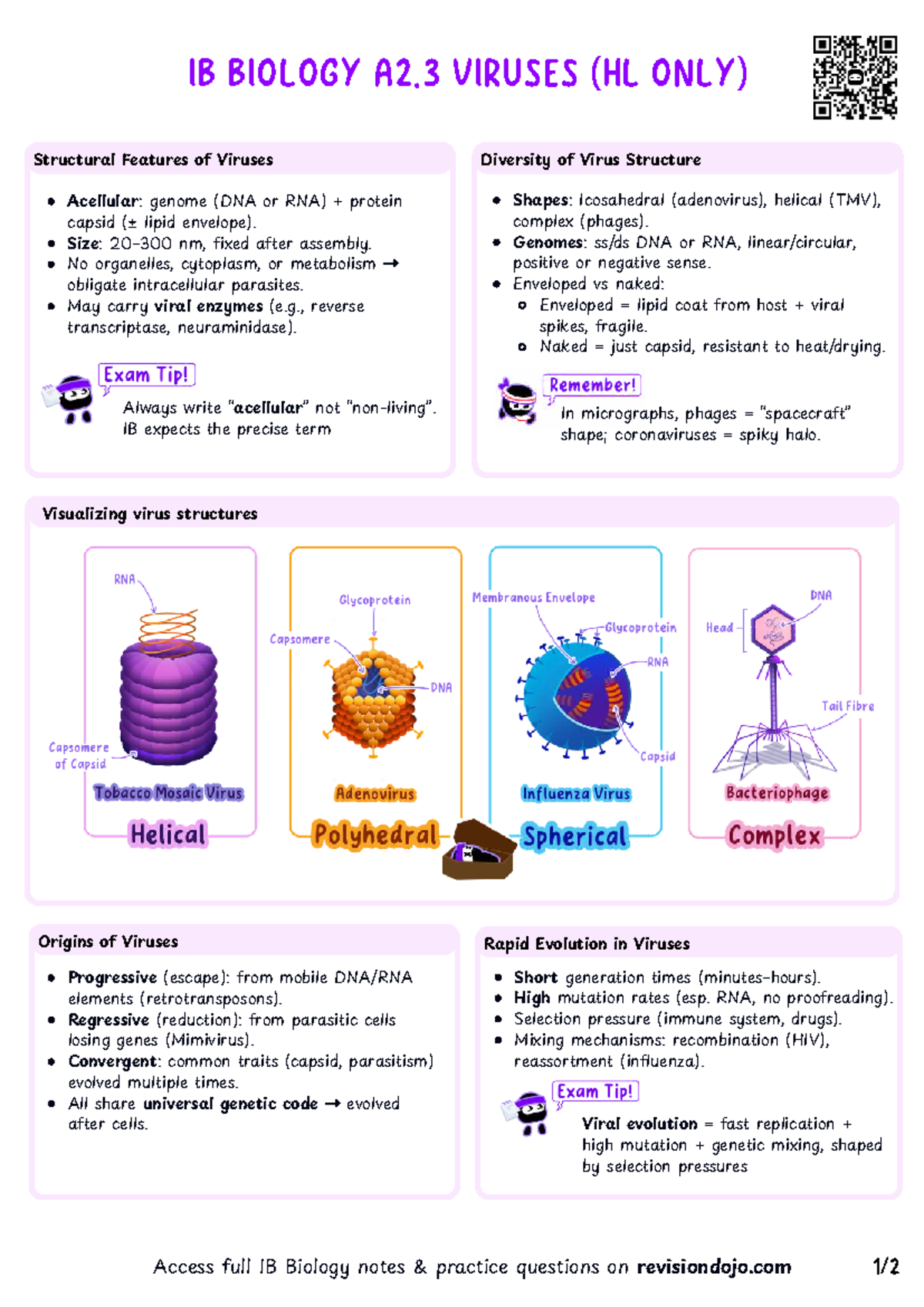 IB BIOLOGY A2.3 VIRUSES (HL ONLY): Structural Features & Evolution ...