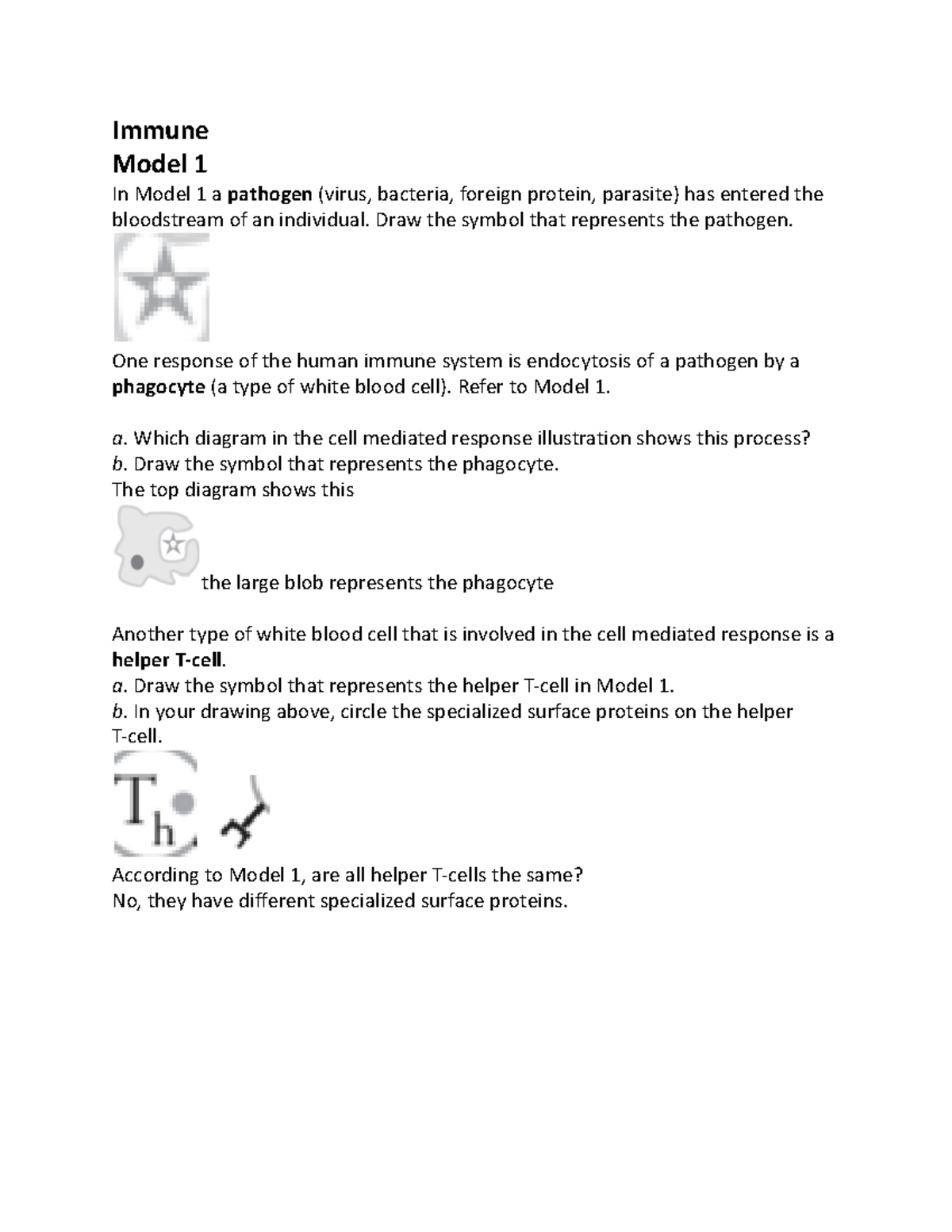 AP Biology: Immune System Models Overview for Exam - Studocu
