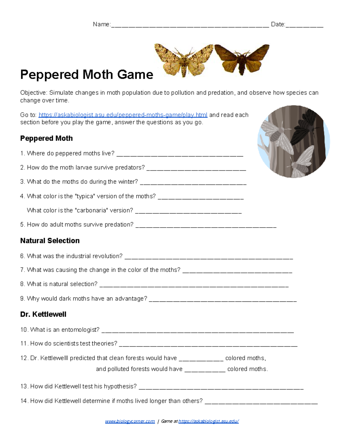ZS. Peppered Moth Game Simulation & Natural Selection Guide - Studocu