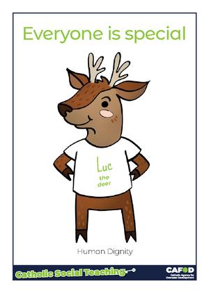 Cafod History and Structure - CAFOD’S HISTORY AND STRUCTURE The ...