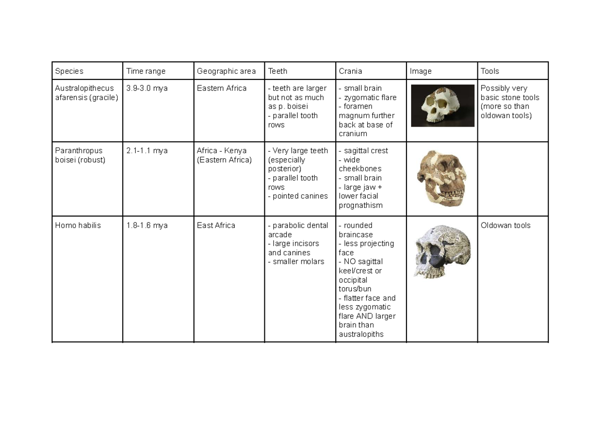 Anth 1120 Midterm Assignment 1: Hominin Evolution and Tool Use - Studocu
