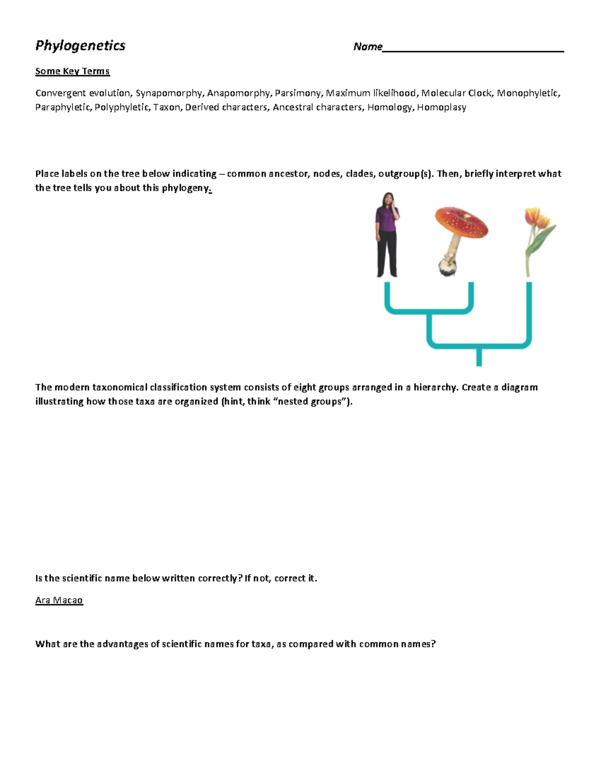 Phylogenetics Activity SP23: Key Terms & Taxonomy Insights - Studocu
