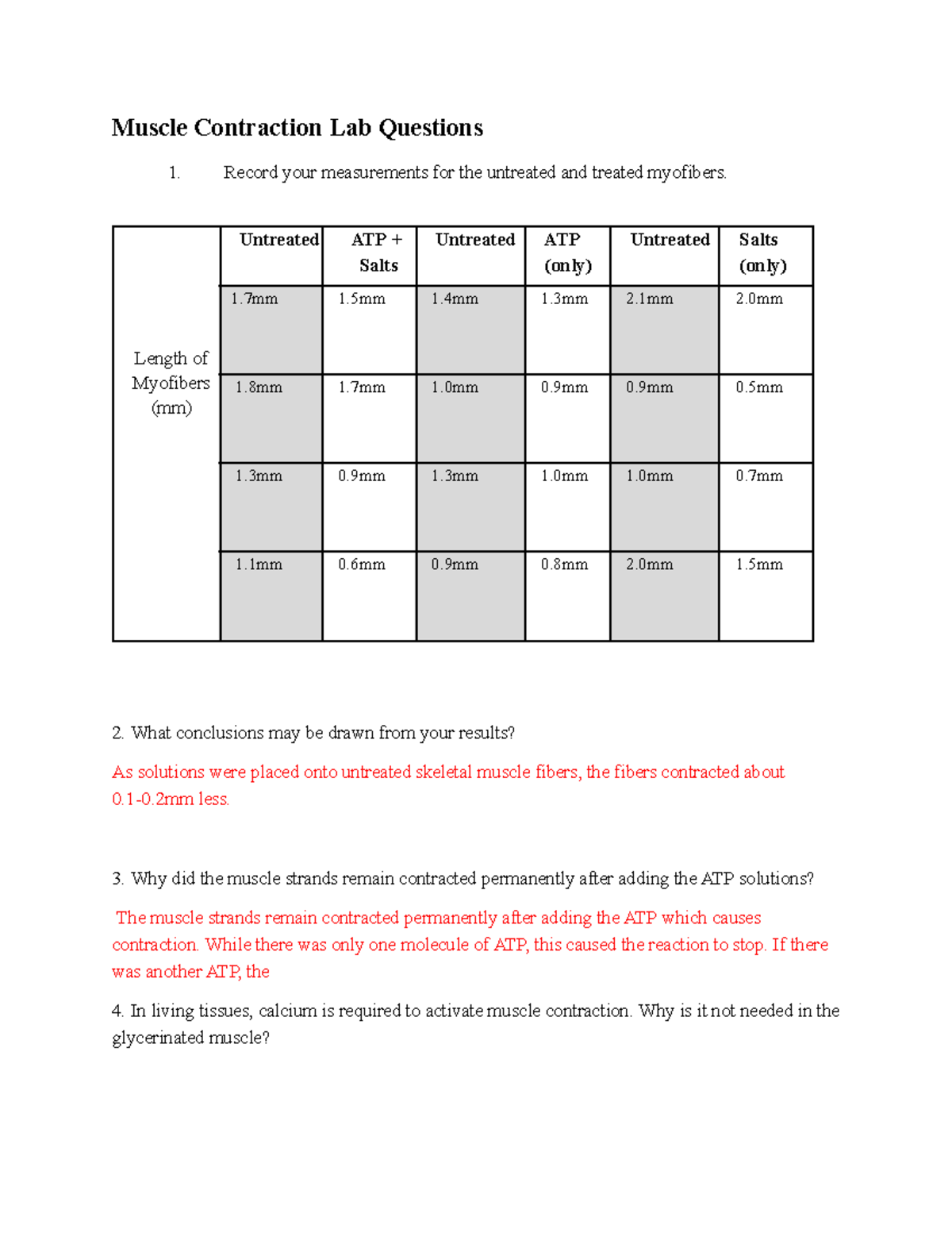 Muscle Contraction Lab Questions: Analysis of Myofiber Responses - Studocu