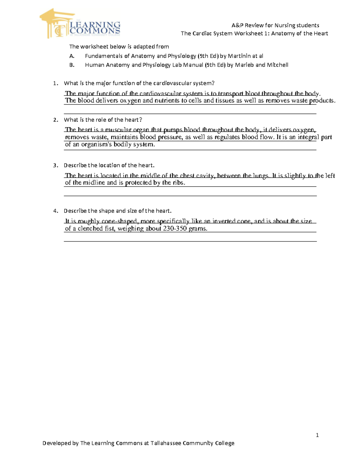 Cardiac System Worksheet 1: Anatomy of the Heart Overview - Studocu