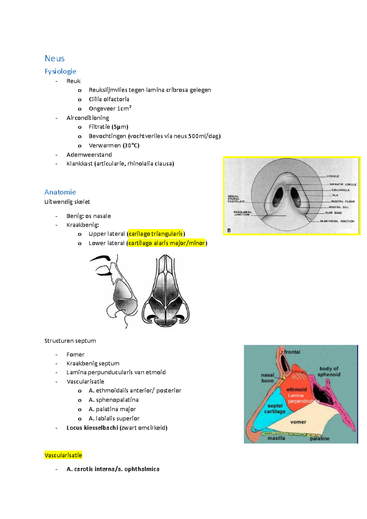 Fysiologie en Anatomie van de Neus - VVV Neus Notes - Studeersnel