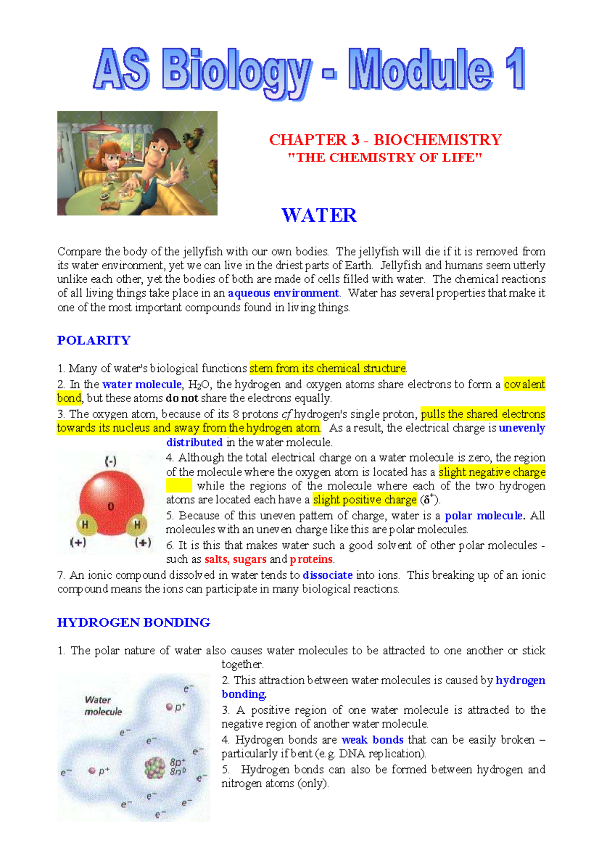 Ch 3 - Biochemistry: Chemistry of Water and Organic Compounds - Studocu