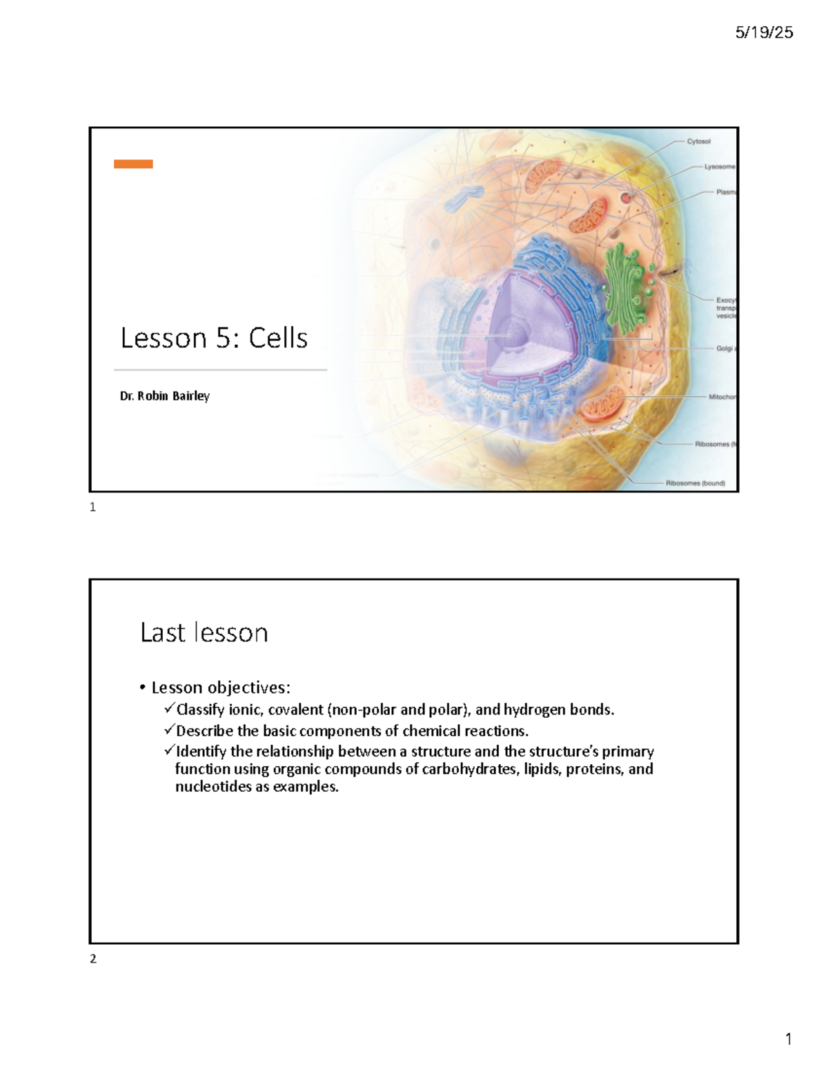 Lesson 5: Structure & Function of Cells and Organelles (BIO101) - Studocu
