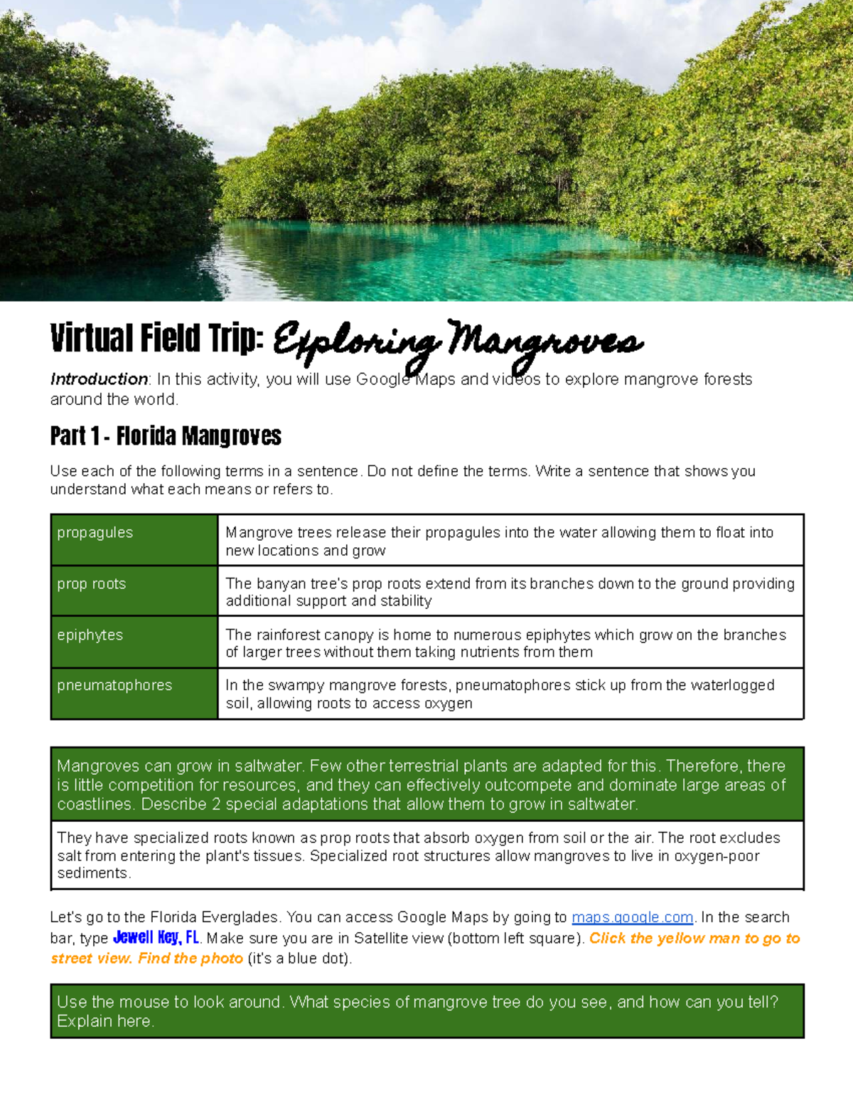 Mangroves Virtual Field Trip: Exploring Coastal Ecosystems - Studocu