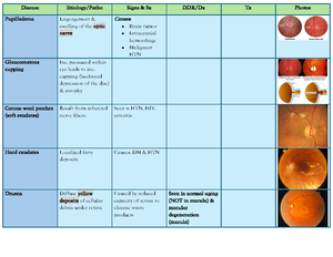 Cardiac Rhythm and Ischemia Interpretation: ECG Notes and Criteria ...