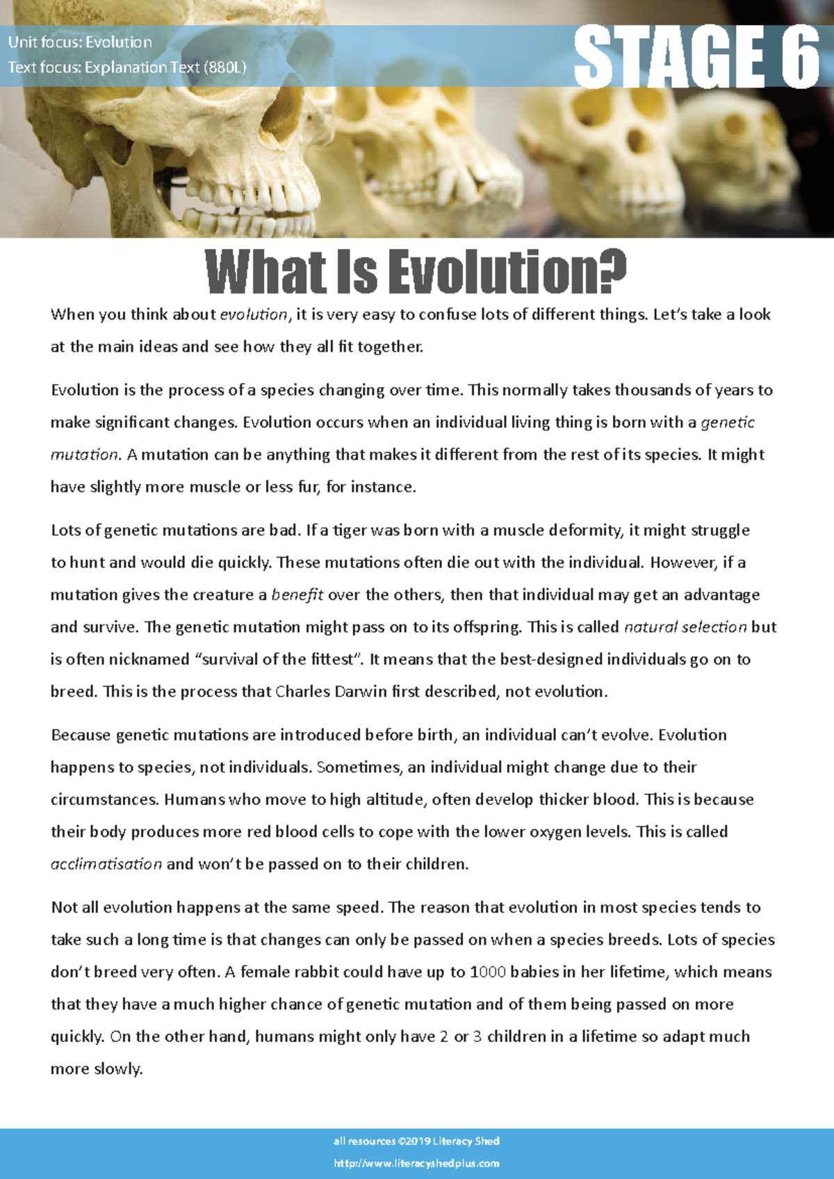 What is evolution comprehension 1 - STAGE 6 Unit focus: Evolution Text ...