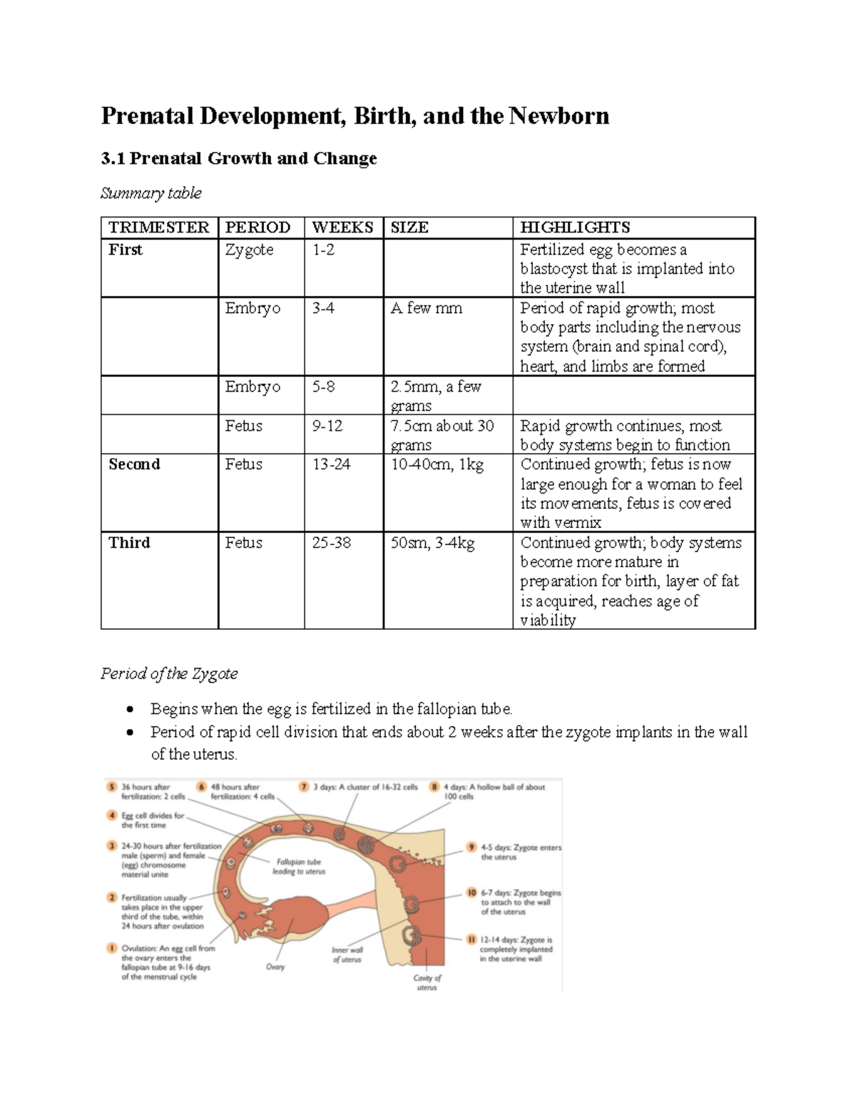 PSY210 Chapter 3: Prenatal Development and Newborn Assessment - Studocu