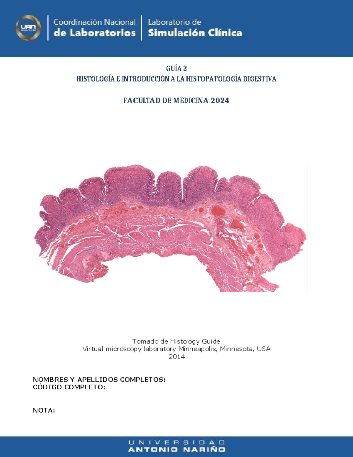 Guía 3: Histología del Sistema Digestivo y su Patología - Medicina 2024 ...