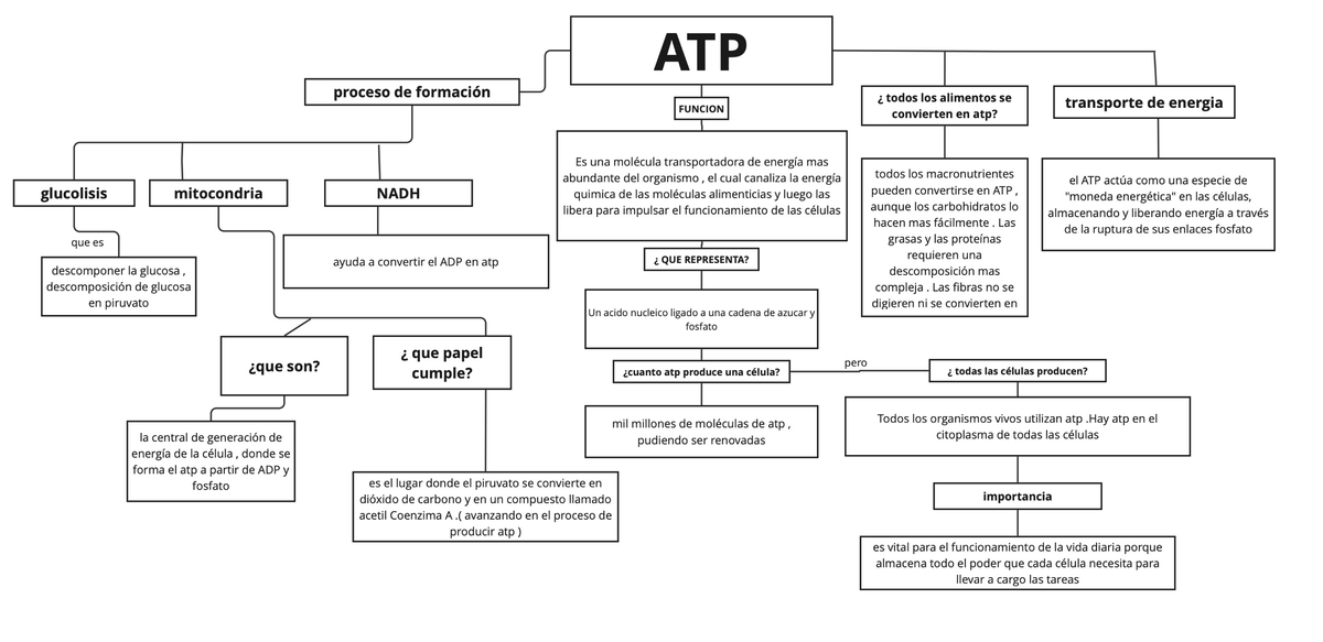 Mapa Conceptual sobre el Proceso de Formación de ATP y Energía - Studocu