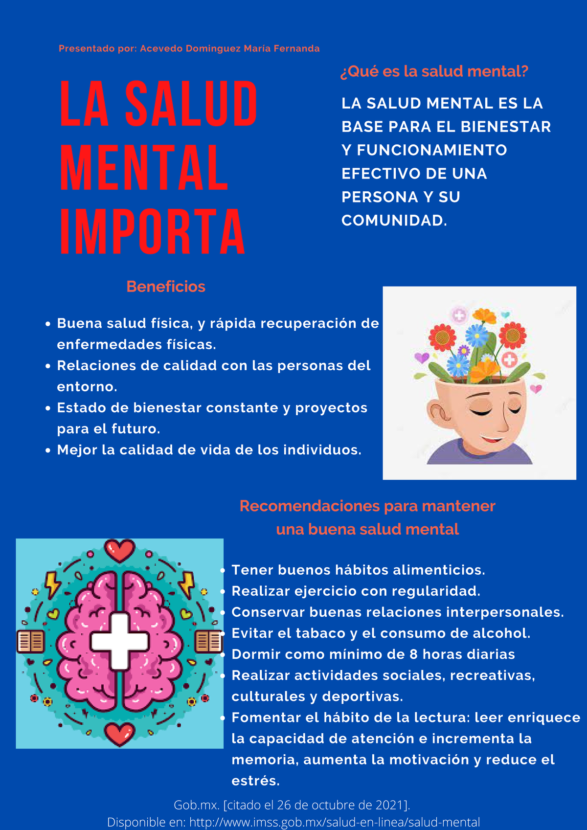 Infografia Salud Mental