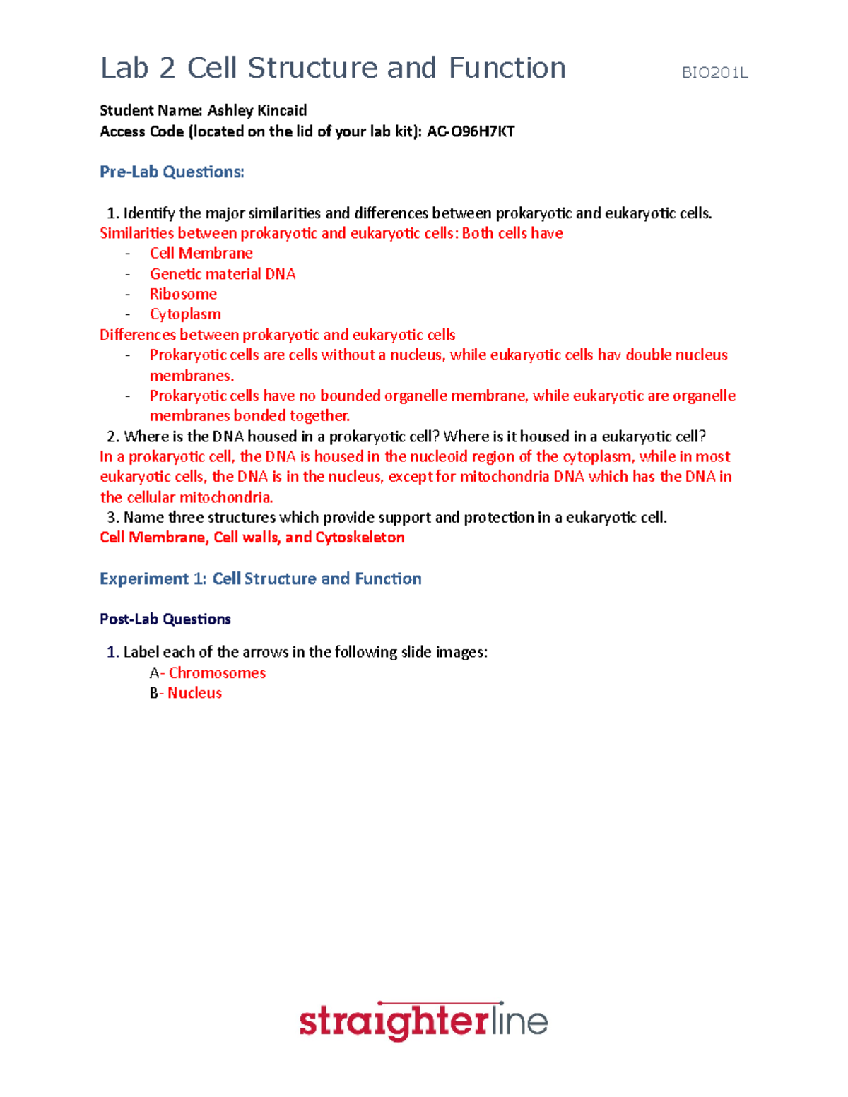 BIO201 Lab 2 - Exploring Prokaryotic vs Eukaryotic Cells and Size - Studocu