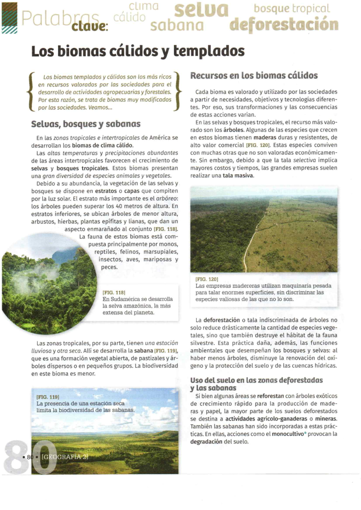 Geografía de Biomas Cálidos y Templados en América - 251022 - Studocu