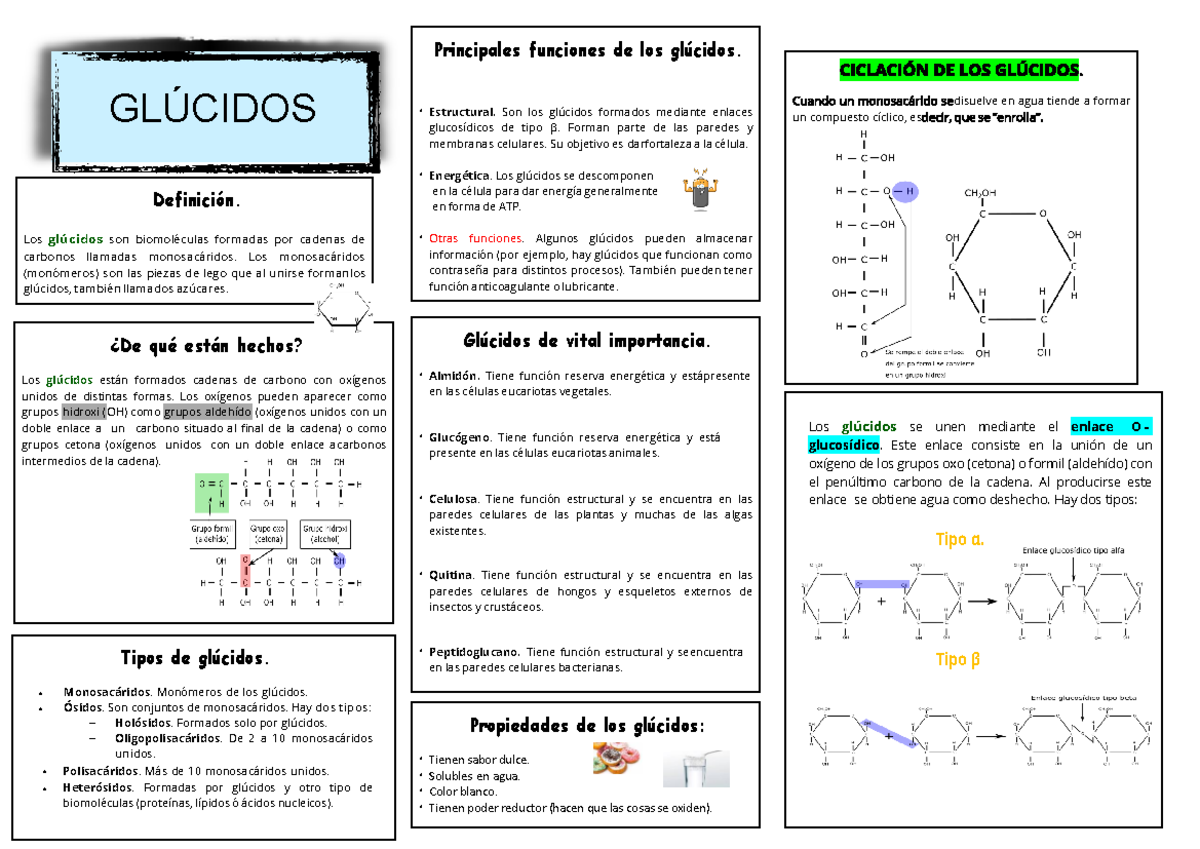 Esquema Glúcidos - Tipos y Funciones - APUNTES - Studocu