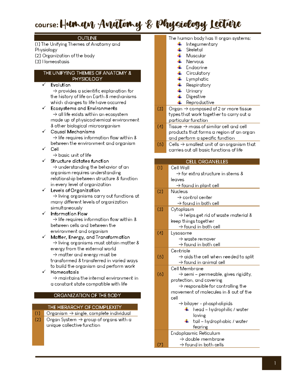 Anaphy LEC Transes 1: Unifying Themes & Body Organization Insights ...