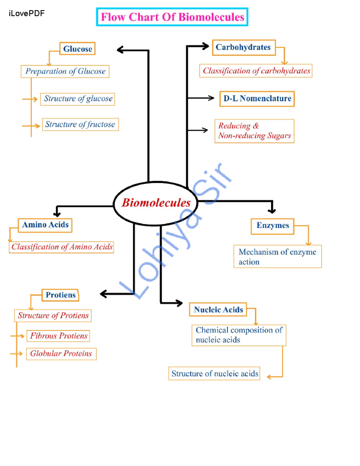 Biomolecules - detailed notes - Chemistry class 12 - Studocu