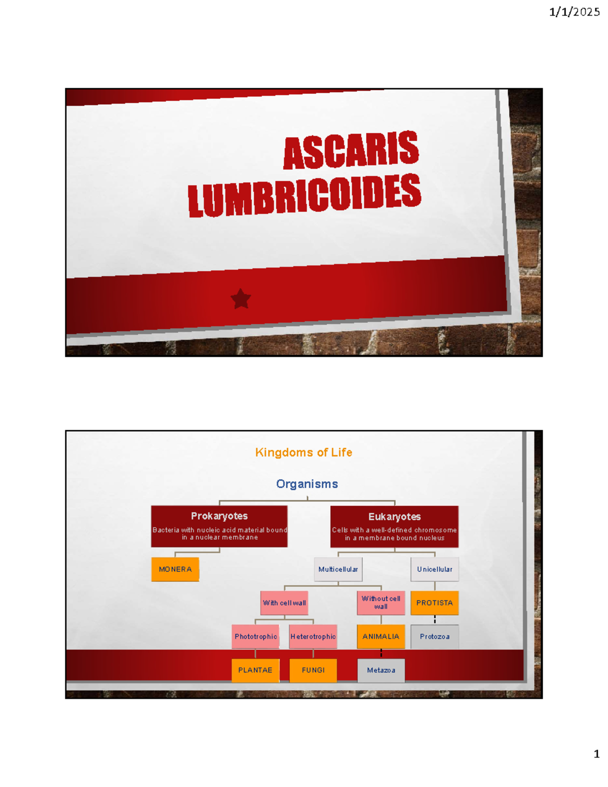 Lecture 2: Ascaris and Helminth Classification in Medical Parasitology ...