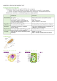 Biology year 11 - Grade: 11 - New South Wales Higher School Certificate ...