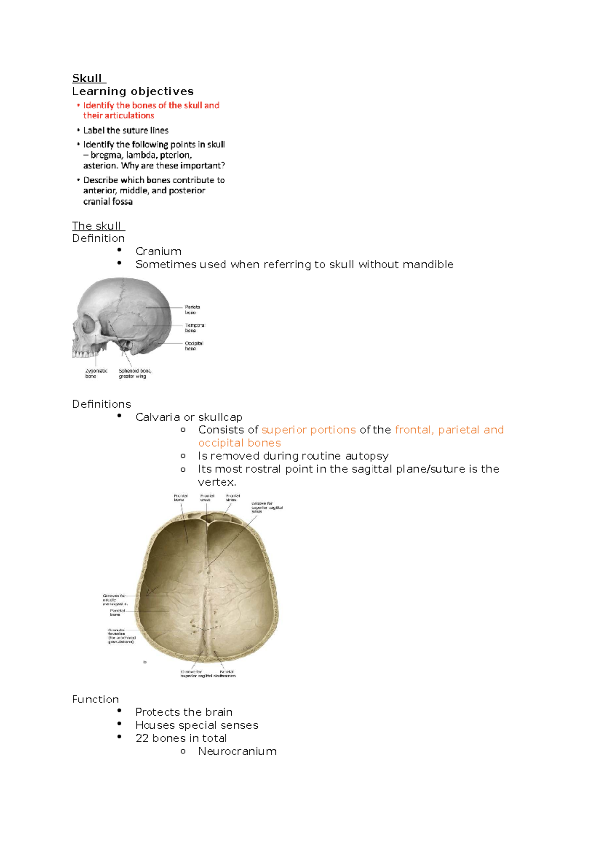 Skull and brain - lecture notes - Skull Learning objectives The skull ...