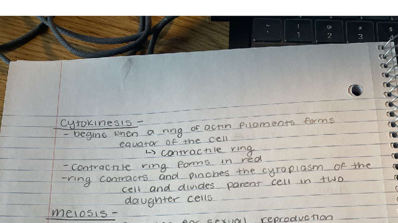 Final Exam Review Notes for XYZ123: Cell Division & Cytokinesis - Studocu