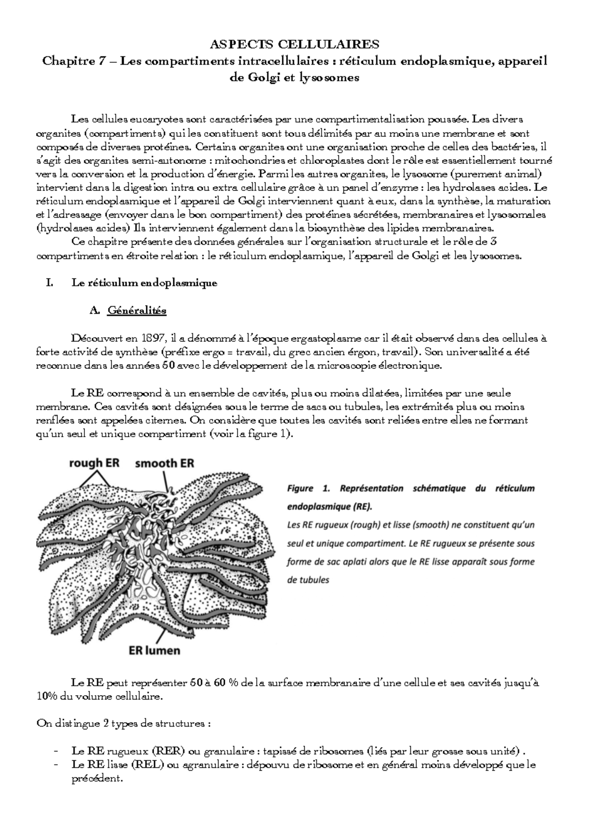 Chapitre 7 - Compartiments intracellualires (réticulum endoplasmique ...