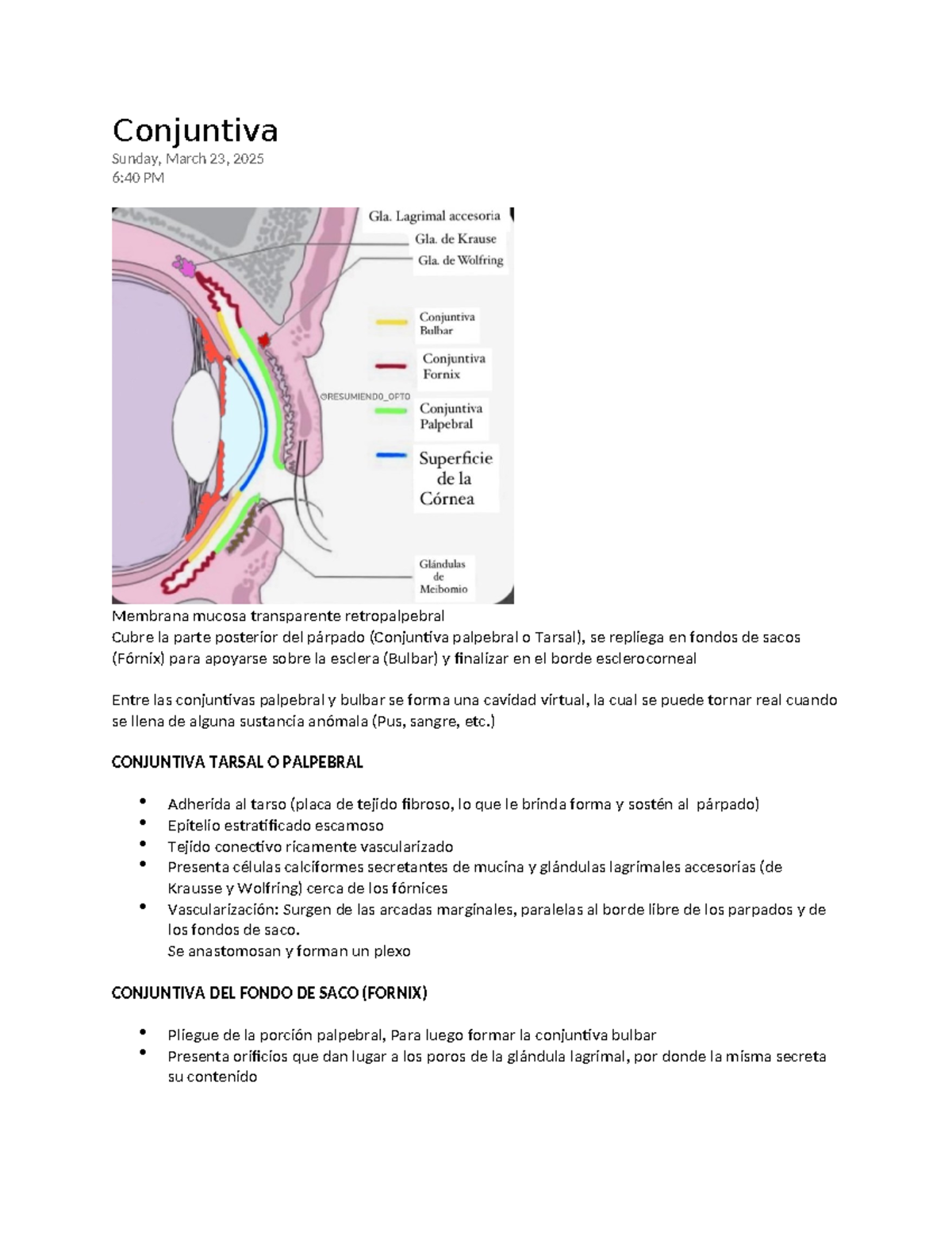 Anatomía y Fisiología de la Conjuntiva - Guía Esencial - Studocu
