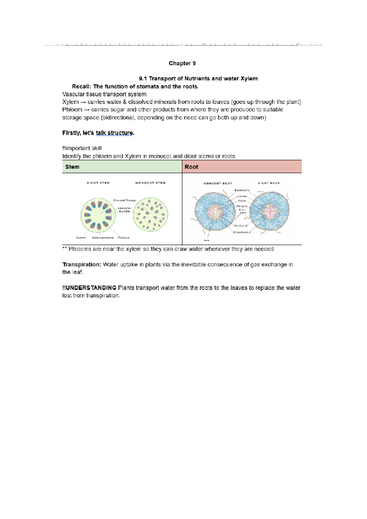 Chapter 9: Transport Mechanisms in Plants - Xylem and Phloem Functions ...